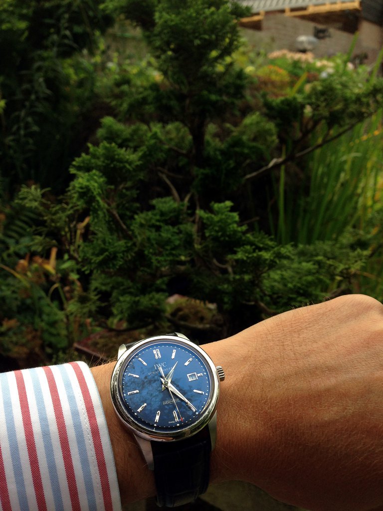 TimeZone : IWC » Going with the 3228 to start the weekend...What about ...